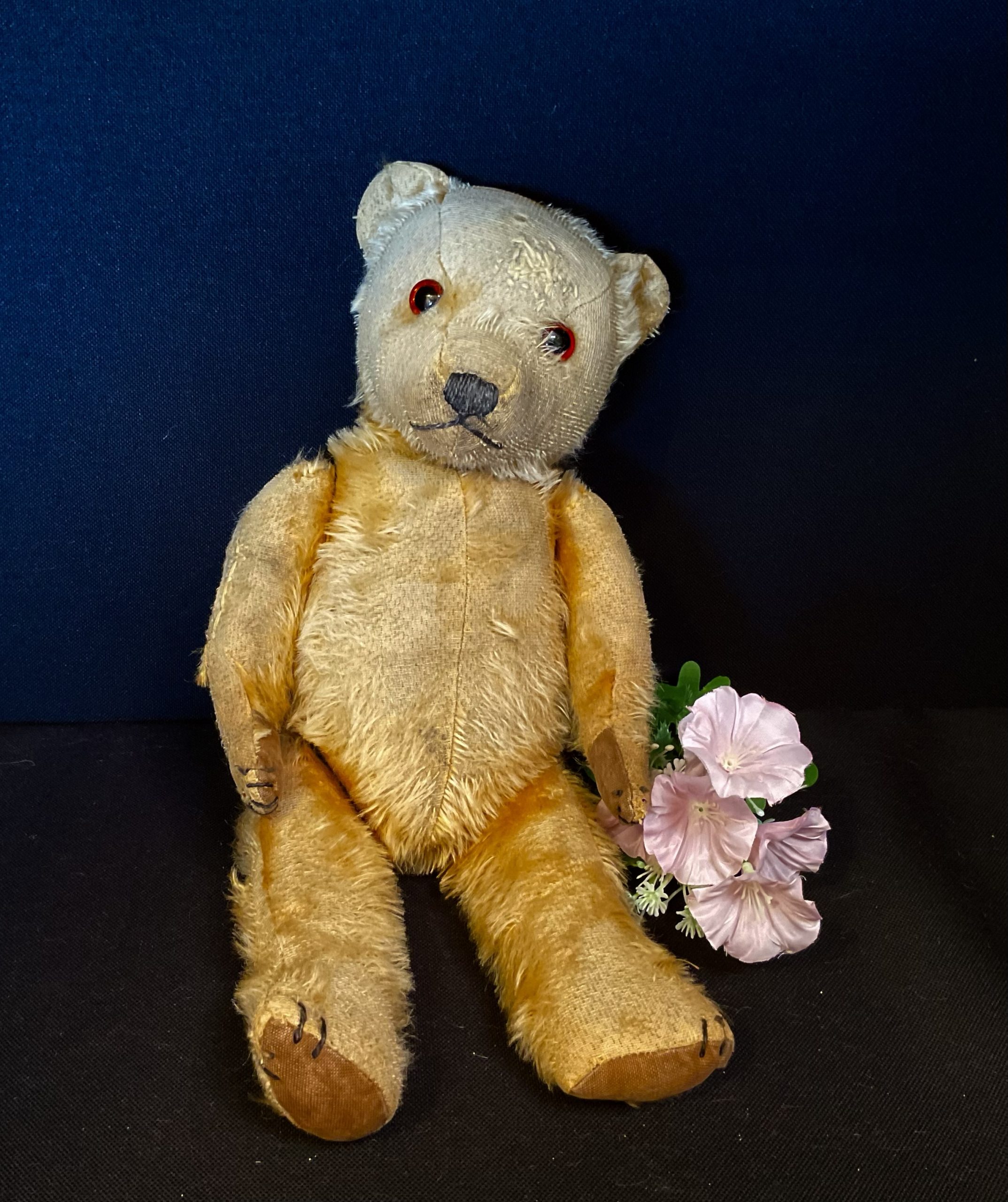 Emily – The Teddy Bear Nurse